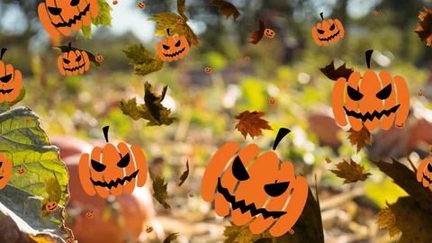 Animation of leaves falling over pumpkin... | Stock Video | Pond5