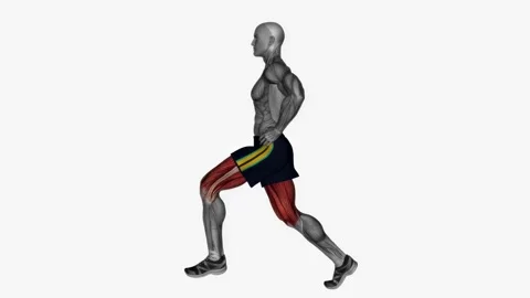Animation of legs lunges same leg side v... | Stock Video | Pond5