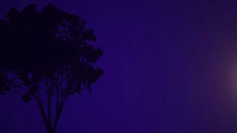 Animation of light spots over tree silho... | Stock Video | Pond5