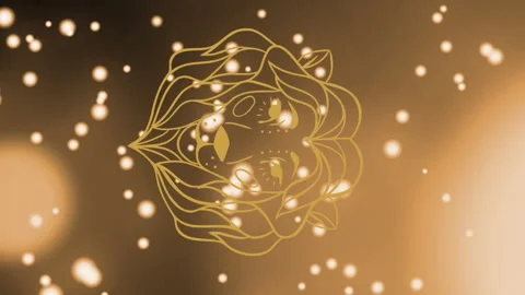 Leo Vector Stock Videos – Royalty-Free HD & 4K Videos