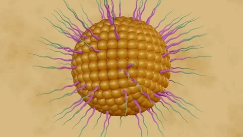 animation of lipid coated polimeric nan... | Stock Video | Pond5