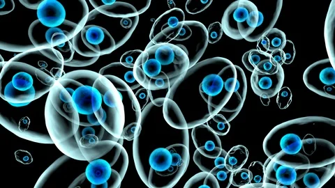 Animation of living cells under the micr... | Stock Video | Pond5