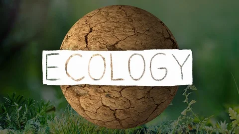 animation logo with ecology writing with... | Stock Video | Pond5