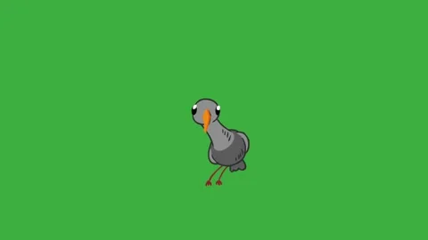 Animation loop video cartoon bird on gre... | Stock Video | Pond5
