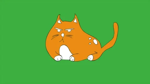 Cute Moving Animations Of Cats