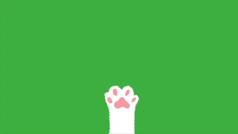 Animation loop video cartoon cat on gree... | Stock Video | Pond5