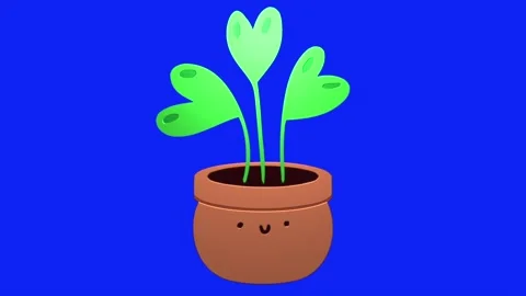 Animation loop video a flower pot with l... | Stock Video | Pond5