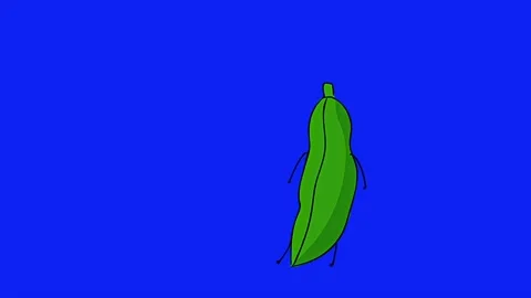 Chinese Food Cartoon Stock Video Footage | Royalty Free Chinese Food ...