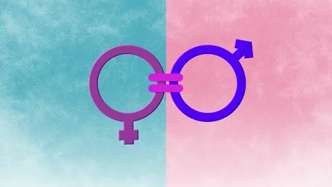 Animation of male and female gender symb... | Stock Video | Pond5