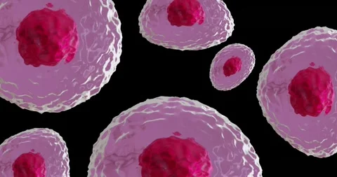 Animation of micro of red and pink cells... | Stock Video | Pond5