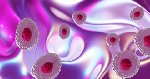 Animation of micro of red and pink cells... | Stock Video | Pond5