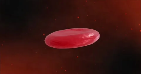 Animation of micro of red blood cell on ... | Stock Video | Pond5