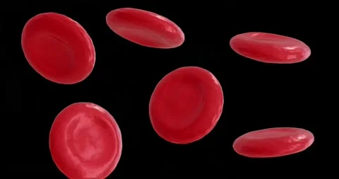 Animation of micro of red blood cells on... | Stock Video | Pond5