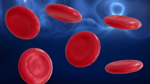 Animation of micro of red blood cells on... | Stock Video | Pond5