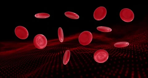Animation of micro of red blood cells on... | Stock Video | Pond5