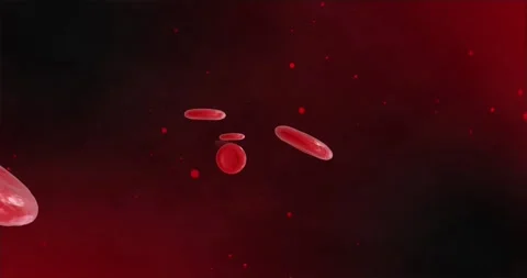 Animation of micro of red blood cells on... | Stock Video | Pond5