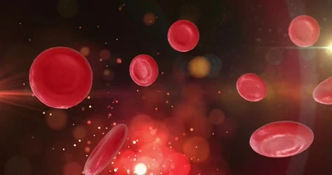 Animation of micro of red blood cells on... | Stock Video | Pond5