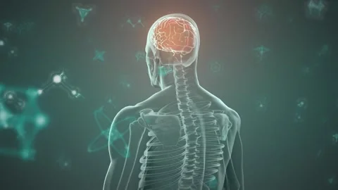 Animation of molecular structures floati... | Stock Video | Pond5