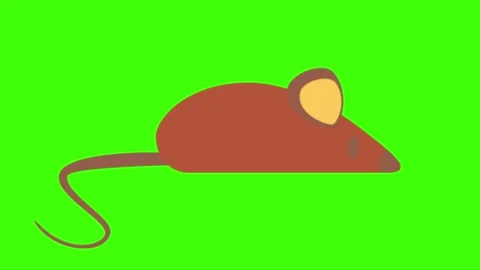 Animation of a Mouse icon on a green scr... | Stock Video | Pond5