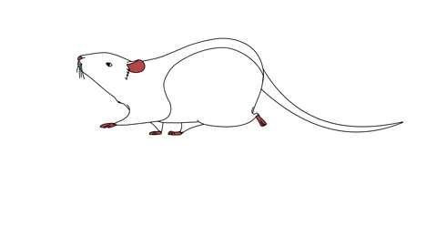 Animation Of A Mouse Running Fast, On A ... | Stock Video | Pond5