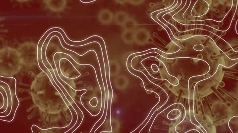 Animation of moving cells over red backg... | Stock Video | Pond5