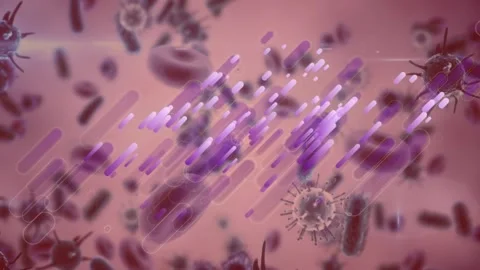 Animation of moving cells over red backg... | Stock Video | Pond5