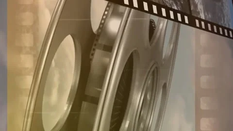 Animal Park Reel Stock Videos – Royalty-Free HD & 4K Videos