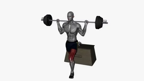 Animation of a muscle man Barbell Bulgar... | Stock Video | Pond5