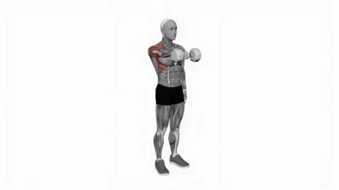 Animation of a muscle man exercising Dum... | Stock Video | Pond5
