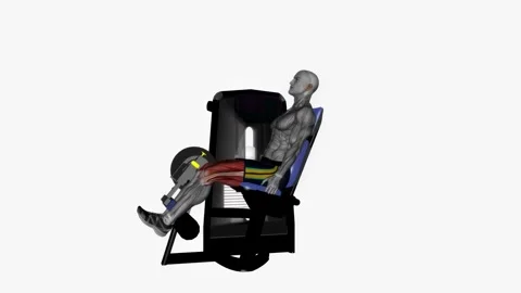 Animation of a muscle man Seated leg cur... | Stock Video | Pond5