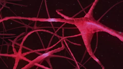 Animation of network of neuron cells ove... | Stock Video | Pond5