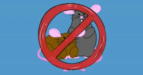 Animation of no entry sign over two rats... | Stock Video | Pond5