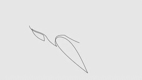 Animation of one single line drawing of ... | Stock Video | Pond5