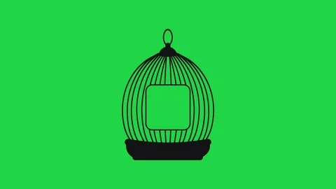 Animation of an open bird cage on a gree... | Stock Video | Pond5