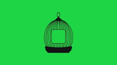 Animation of an open bird cage on a gree... | Stock Video | Pond5