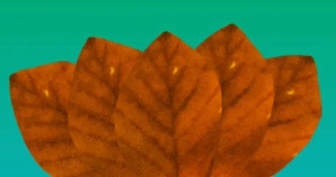 Animation of orange autumn leaves on gre... | Stock Video | Pond5