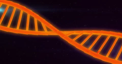 Animation of orange dna strand over dark... | Stock Video | Pond5