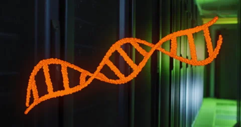 Animation of orange dna strand rotating ... | Stock Video | Pond5