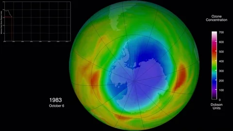 Animation Immage Stock Videos – Royalty-Free HD & 4K Videos