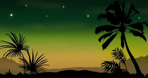 Animation of palm trees and stars on gre... | Stock Video | Pond5