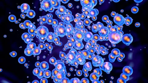 Animation of Particles floating in the q... | Stock Video | Pond5