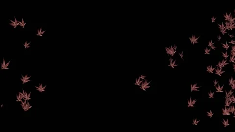 Animation of particles in shape of autum... | Stock Video | Pond5