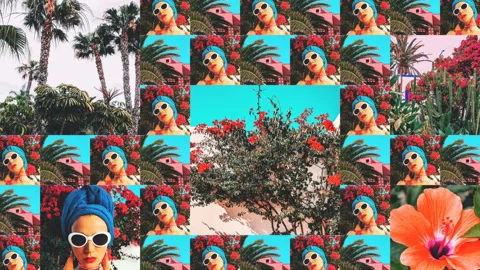 Show Photo Of Stock Videos – Royalty-Free HD & 4K Videos