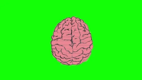 Animation of a pink colored brain. Green... | Stock Video | Pond5