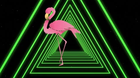 Animation of pink flamingo over neon tri... | Stock Video | Pond5