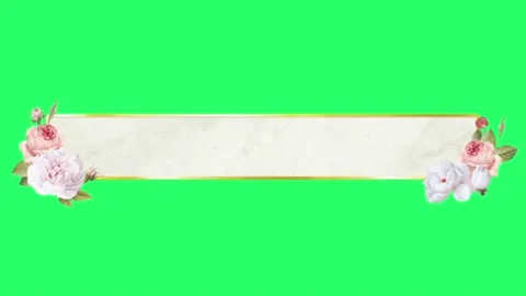 Animation pink flowers sqare frame with ... | Stock Video | Pond5