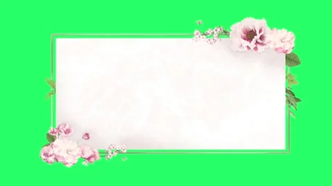 Animation pink flowers sqare frame with ... | Stock Video | Pond5