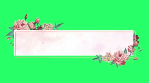 Animation pink flowers sqare frame with ... | Stock Video | Pond5