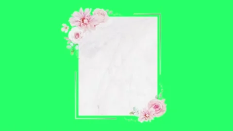 Animation pink flowers sqare frame with ... | Stock Video | Pond5