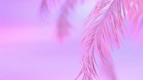 Animation of Pink palm tree. Soft violet... | Stock Video | Pond5